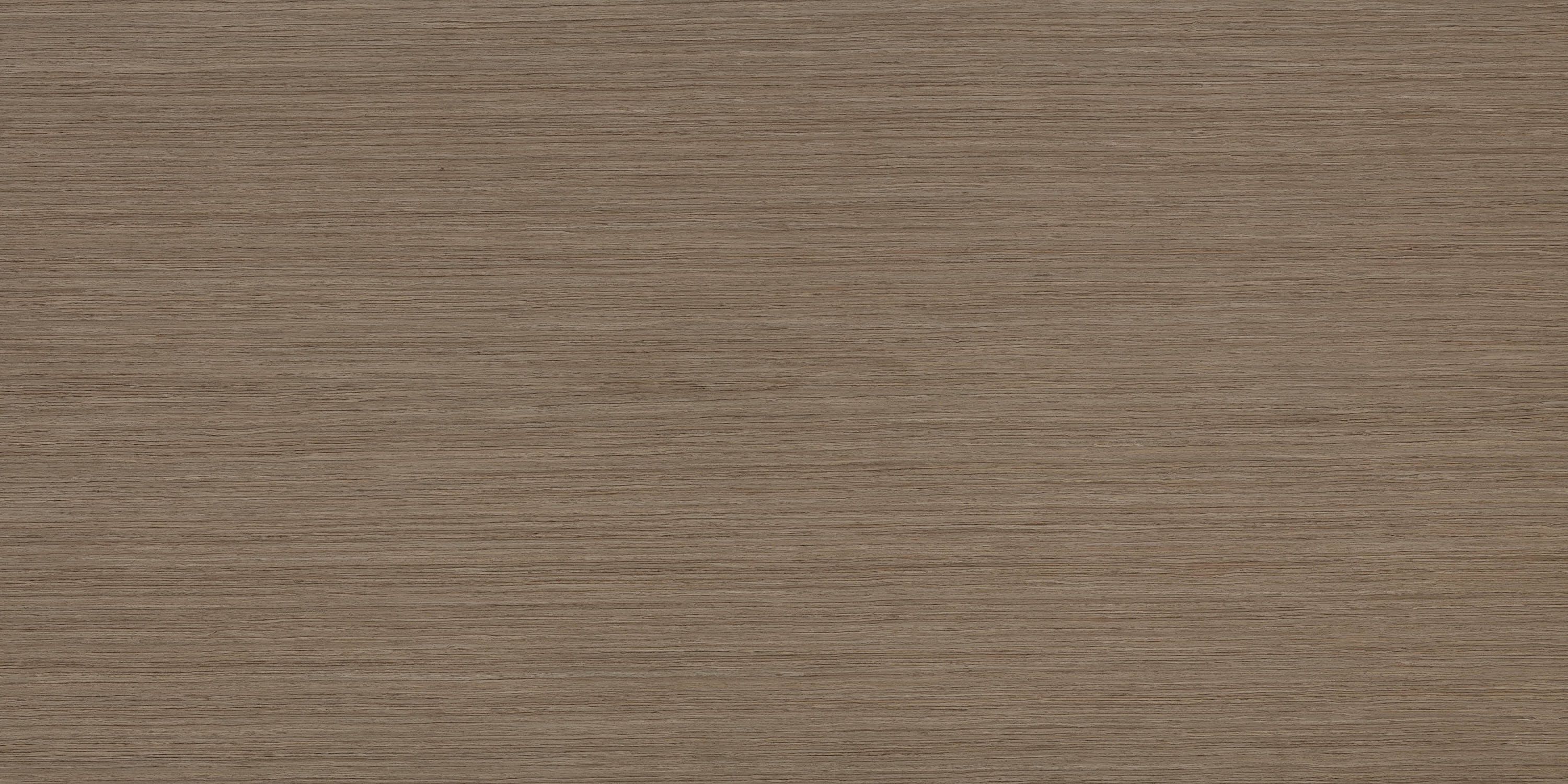 AM. WALNUT (QUARTER)