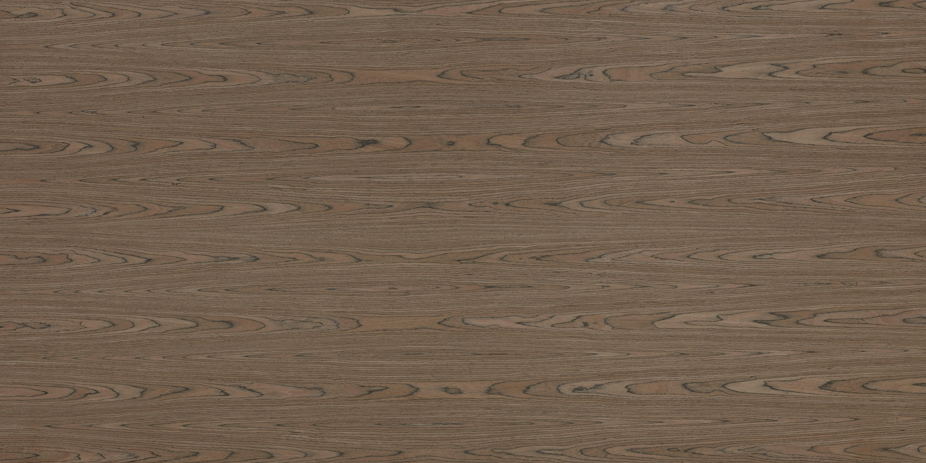 ABSOLUTE WALNUT CROWN